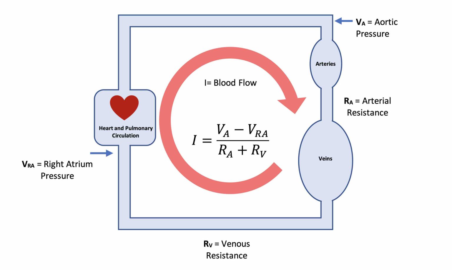 Using Computer Models to Study the heart - Personalize AF