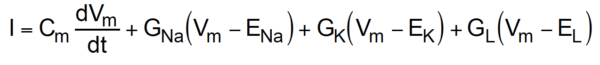 The Patch clamp technique and Hodgkin–Huxley equations - Personalize AF